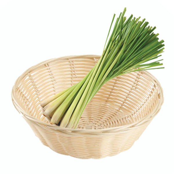 ASIA YAOSHO ONLINE SHOP